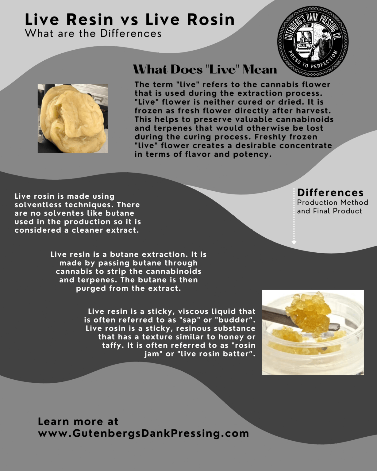 Live Resin vs Live Rosin Simplified | Gutenberg Pressing